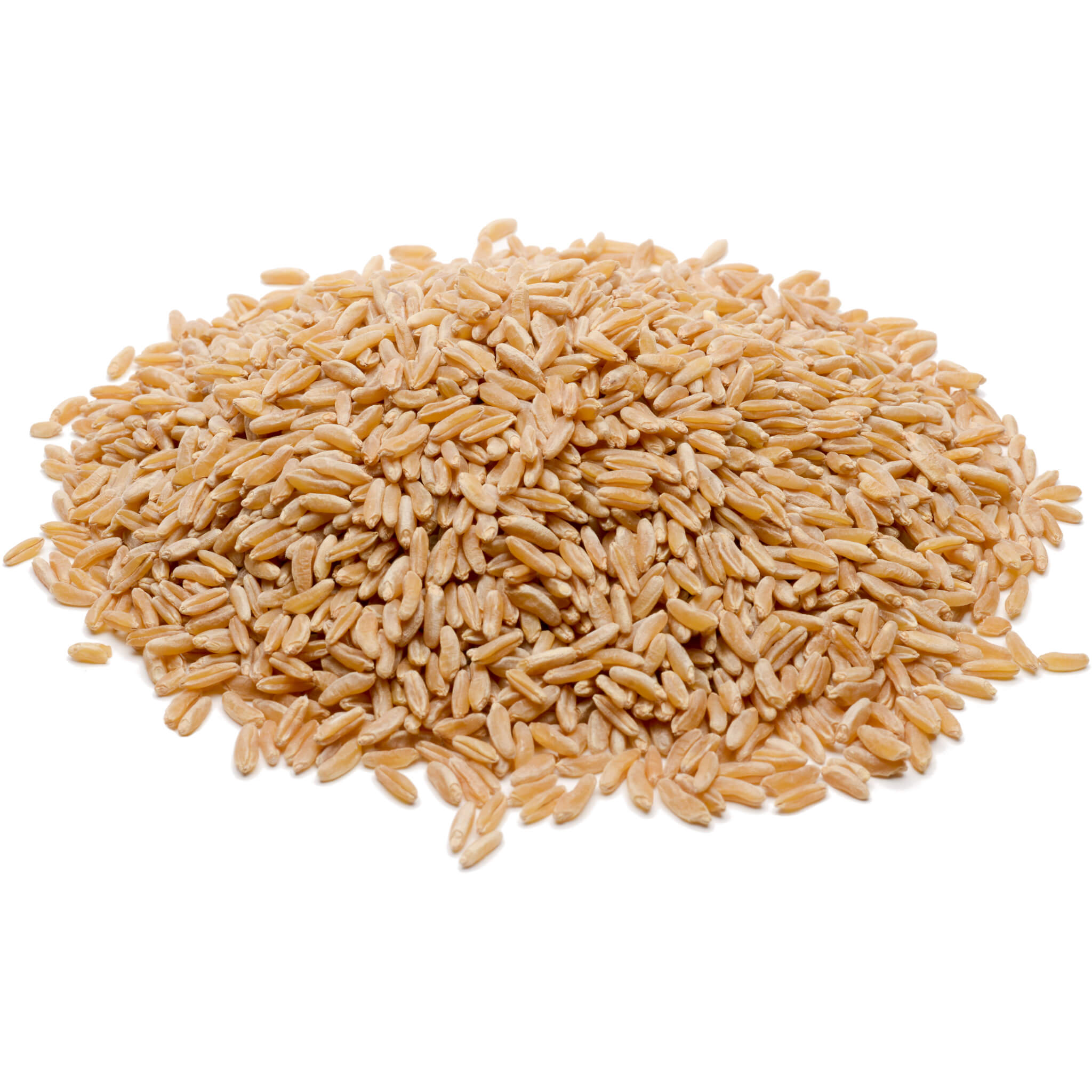 Online Organics : Your Organic Bulk Specialists In Canada — OnlineOrganics